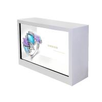 China 55 inch Advertising Transparent LCD Panel Android Smart transparent lcd manufacturer for sale