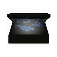 China 75 inch 360° 3D Hologram Display Box FHD For Product Launches & Retail Showrooms for sale