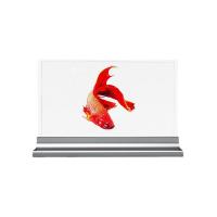 China 30 Inch HD Interactive Transparent OLED Display – Transparent Digital Signage Solution for sale