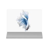 China 30 Inch Transparent OLED Panel 4K Clear OLED Display For Interactive Menus for sale