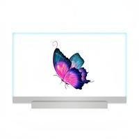 China 55 inch Touchscreen Transparent OLED Screen Customized Clear OLED Display for sale