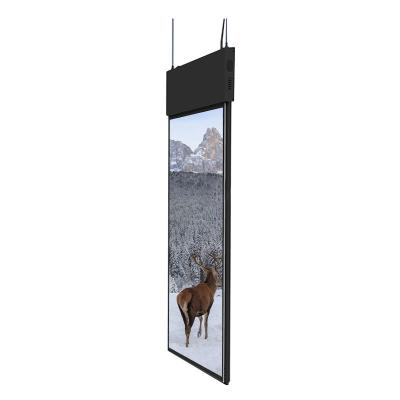 China 43 inch Commercial Transparent OLED Touch Screen Standalone Clear OLED for sale