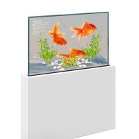 China 55 Inch Floor Standing See-Through Transparent OLED Lifting All-in-One TV Interactive Touchscreen Display for sale