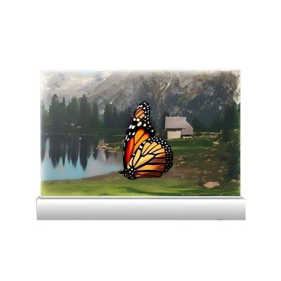 China 43 inch Touch OLED LG Transparent Monitor Cutting Edge Display Science Technology Exhibitions Charm Suitable in Stock for sale