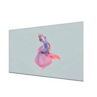 China 32 inch High Transparency Full Color Writing Method Transparent Spliced OLED TV for Shopping Mall Advertising for sale