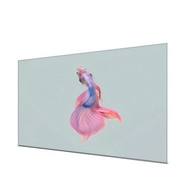 China 32 inch High Transparency Full Color Writing Method Transparent Spliced OLED TV for Shopping Mall Advertising for sale