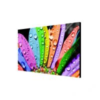 China 2×2 Splicing Transparent OLED Display Advertising Player Aluminum Alloy Frame High-Brightness 4K for sale