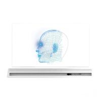 China 55 inch Ultra Thin Transparent TouchScreen OLED Advertising Display HD Clear See Through Digital OLED Panel for sale