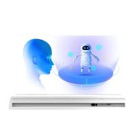 China 55 inch Ultra Thin Transparent TouchScreen OLED Advertising Display HD Clear See Through Digital OLED Panel for sale