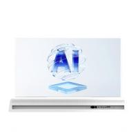 China 55 inch Ultra Thin Transparent TouchScreen OLED Advertising Display HD Clear See Through Digital OLED Panel for sale