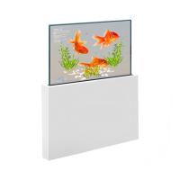 China 77 inch  Transparent OLED Display Screen LCD Touch Screens Digital Signage 4k OLED Transparent Display Panel for sale