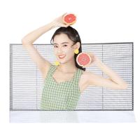 China Led Flexible Transparent Film P10 for Glass windows Self-adhesive Advertising Display for Showrooms Exhibitions for sale