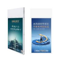 China 2025 New Technology Retail Store Window Displays With Hanging Double Sided OEM ultra Thin Led Advertising Display for sale