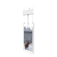 China 32-Inch High Brightness Android halloween window displays 1000-3000 Nits Digital Stand for Window Advertising Screen for sale