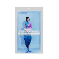 China 86 inch transparent lcd monitor 3D Holographic display box AI Digital Human all-in-one machine  for sale