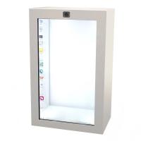 China 65 inch Transparent Touch Screen Advertising Monitor Android Transparent LCD showcase price for sale