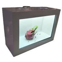 China 32 inch transparent screen display price advertising monitor showcase lcd display box transparent lcd display for sale