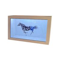 China 75 inch Indoor 3D Hologram Interactive Touch Screen LCD Transparent Box for Retail Store Elevator Airport Education Showcase for sale