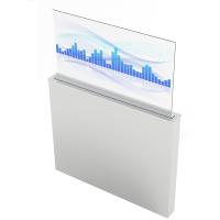 China 0 Inch 60Hz Refresh Rate Clear OLED Display for Smooth Motion – Transparent OLED Screen with Reduced Lagging for sale