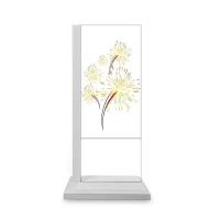 China 55 Inch High-Quality OLED Transparent TV Screens with Brilliant Colors and Outstanding Display for sale