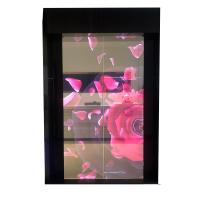 China 55  Inch LG Transparent Display Self-luminous Automatic Door Video Wall Advertising Display for sale