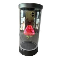 China OEM 5.5 Inch Indoor 3D AI Digital Interactive Hologram Showcase Holographic Display Cabinet 170 Viewing Angle 500 cd for sale