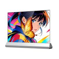 China 30 Inch Transparent OLED Touch Screen With 0.1ms Response Time And 1.07 Billion Colors for sale