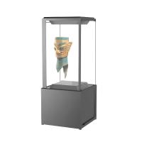 China 55 Inch 1080P Transparent OLED Display for Museum Showcase Cabinets and Educational Exhibition Systems for sale