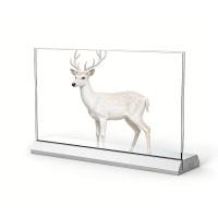 China 55 Inch Custom Desktop Transparent OLED Display for Business Digital Signage and Premium Product Presentation for sale