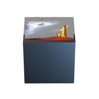 China 30 Inch Super Slim OLED Double-Sided Transparent Display Stand for Exhibition & Digital Signage for sale