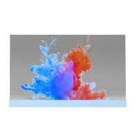 China 55 Inch 2K OLED transparent oled display buy Indoor with Touch for Animated Content for sale
