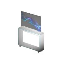 China Custom 55 Inch Floor-to-Ceiling Horizontal Transparent OLED Display for Luxury Retail & Commercial Spaces for sale