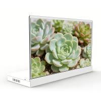 China 30 Inches Frameless Touch Version 7x24 Hours Work IG Transparent OLED Displays for sale