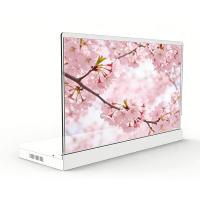 China 30 Inches Frameless Touch Version 7x24 Hours Work IG Transparent OLED Displays for sale