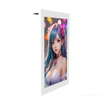 China Ultra-Slim 55 Inch Transparent OLED Display 2K Indoor Advertising Display Player with Slide Rail for Elevator Use for sale