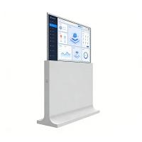 China Transparent OLED Display 55 Inch with Optional Full Lamination (<100m) AR Coating Capacitive Touch Indoor Use for sale
