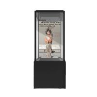 China 55 Inch OLED Self-Luminous Window System with HDR Support for Cultural Relic and Museum Display for sale