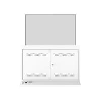 China 55 Inch Transparent OLED TV with Touch Functionality for Premium Interactive Commercial Display for sale