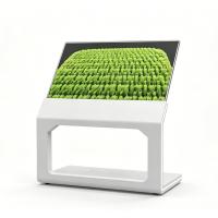 China 55 Inch Floor Standing Transparent OLED Touch Display With High Brightness For Interactive Exhibitions for sale