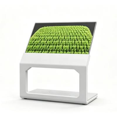 China 55 Inch Floor Standing Transparent OLED Touch Display With High Brightness For Interactive Exhibitions for sale