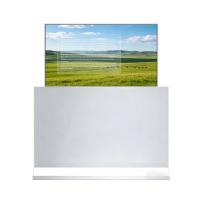 China 55 Inch Self-luminous OLED Ultra Thin Touch Panel Lifting Science center interactive transparent OLED Display for sale
