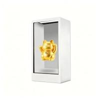 China 21.5 Inch Transparent Product Display Cabinet for Premium Visual Merchandising Spaces for sale
