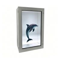 China 32 Inch See-Through Display Cabinet for Modern Transparent Product Presentation for sale