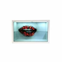 China 55 Inch 2x2 Transparent Advertising Display Cabinet for Large Visual Presentation for sale