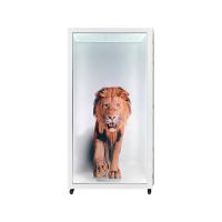 China 98 Inch Transparent Video Showcase Turning Large Spaces into Immersive Visual Storytelling Scenes for sale