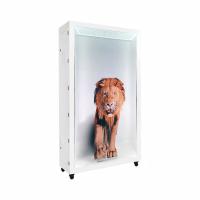 China 98 Inch Transparent Video Showcase Turning Large Spaces into Immersive Visual Storytelling Scenes for sale