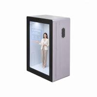 China 21.5 Inch AI Digital Human Hologram Box for Compact Virtual Presenter Display Spaces for sale