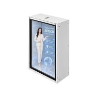 China 55 Inch AI Digital Human Hologram Box AI Avatar Virtual Human Hologram Display Box With Motion Sensor for sale