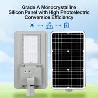 China Roads Parks All In One Solar Street Lights Weather Resistant IP66 for sale