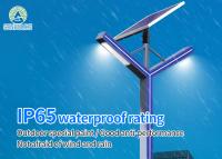 China Outdoor Led Solar Garden Lights Customized Waterproof Ip65 for Driveway Yard Lawn for sale